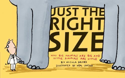 Just the Right Size: Why Big Animals Are Big and Little Animals Are ...