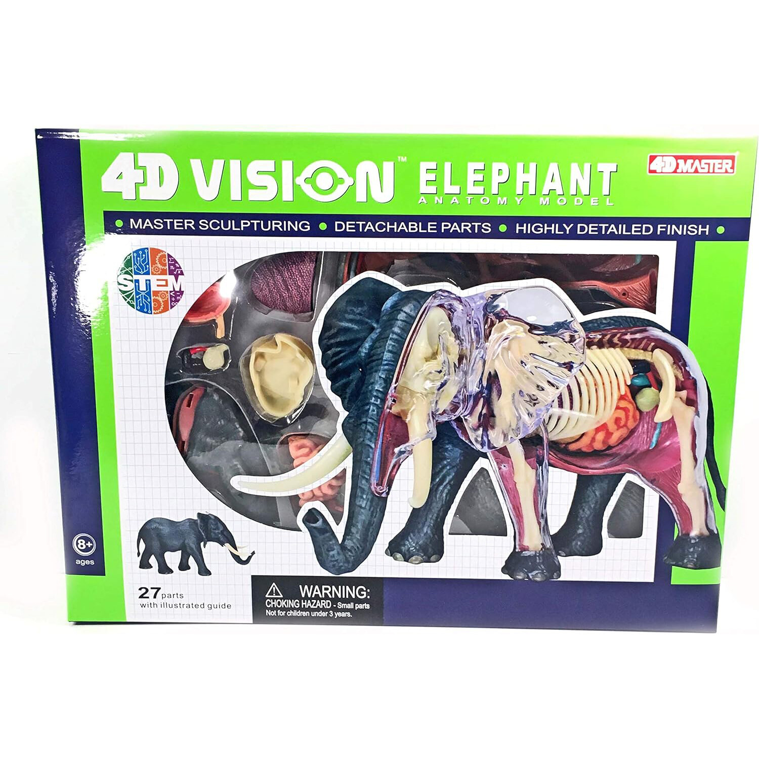 Detachable Part Elephant Anatomy Model Education Learning Science Lab ...