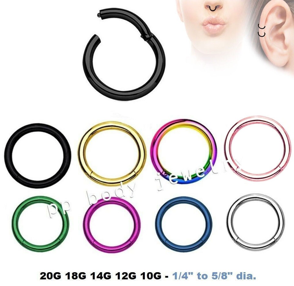 Hinged Seamless Segment Ring Cartilage Nose Hoop Labret Earring Septum ...