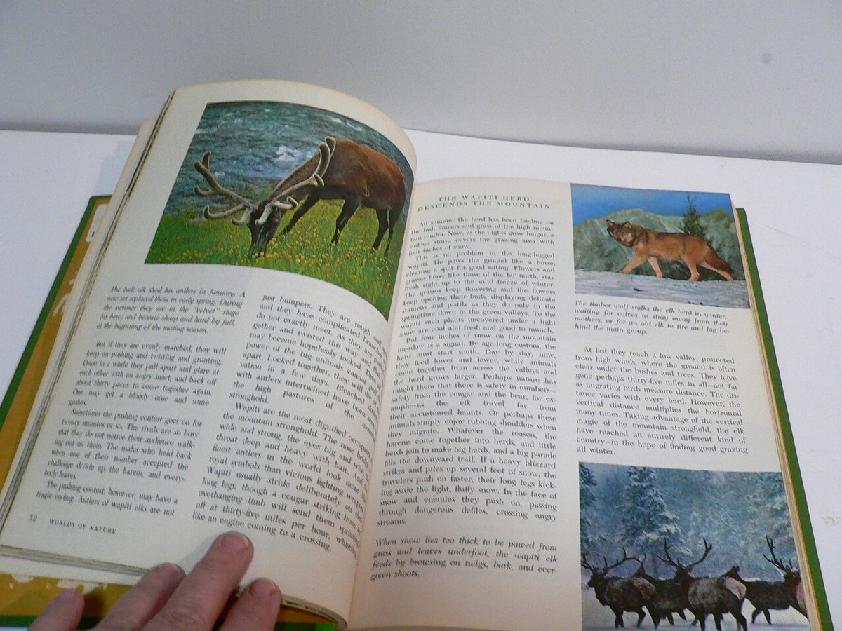 Naturebook Page For An Animal