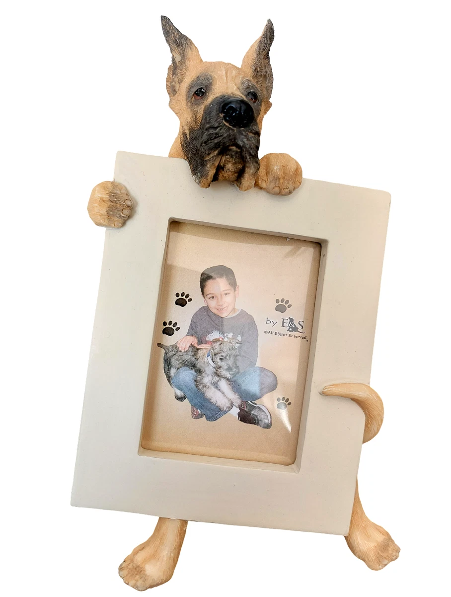 Novelty Picture Frames