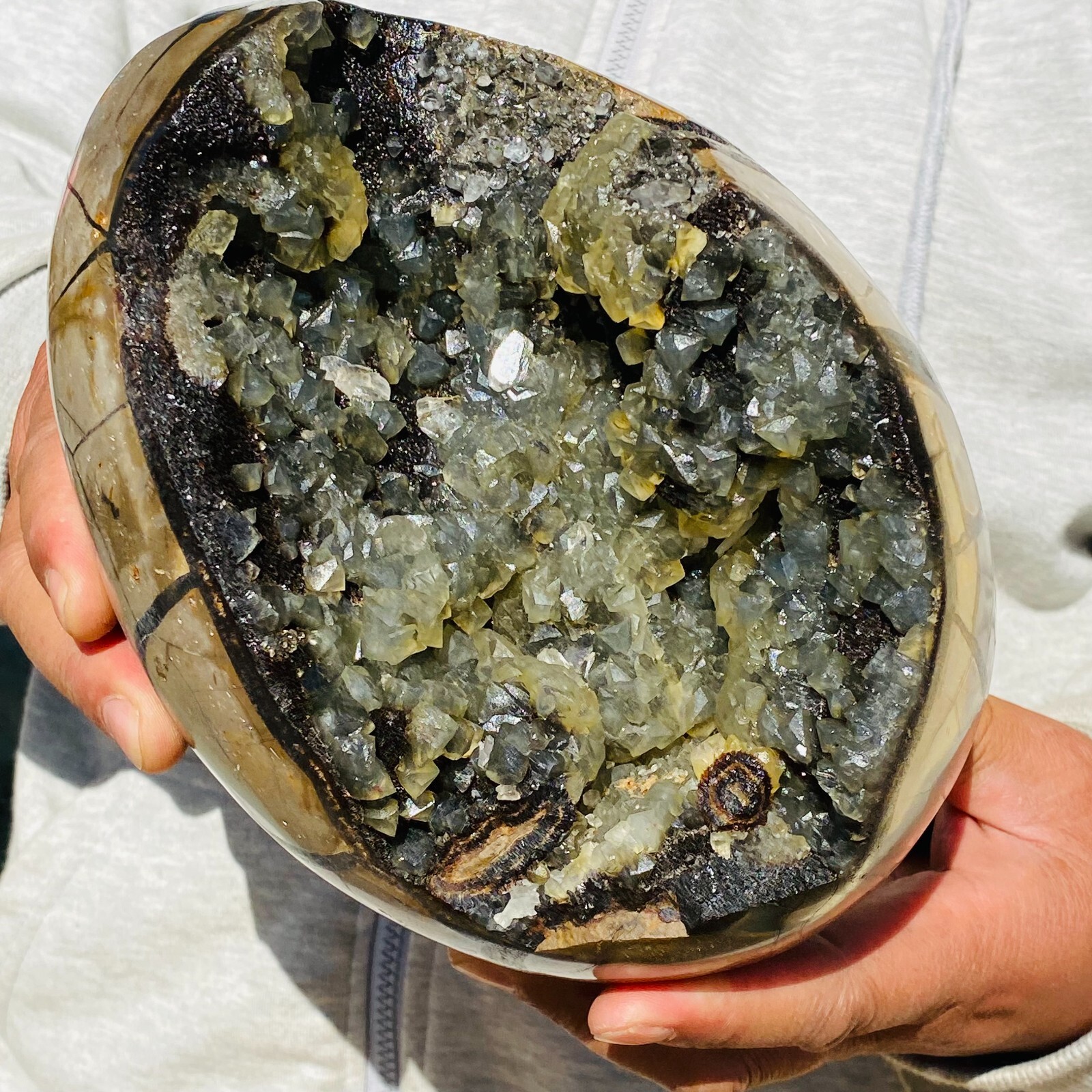 4900g Natural Septarium Dragon's Stone Septarian Crystal Rough Mineral ...