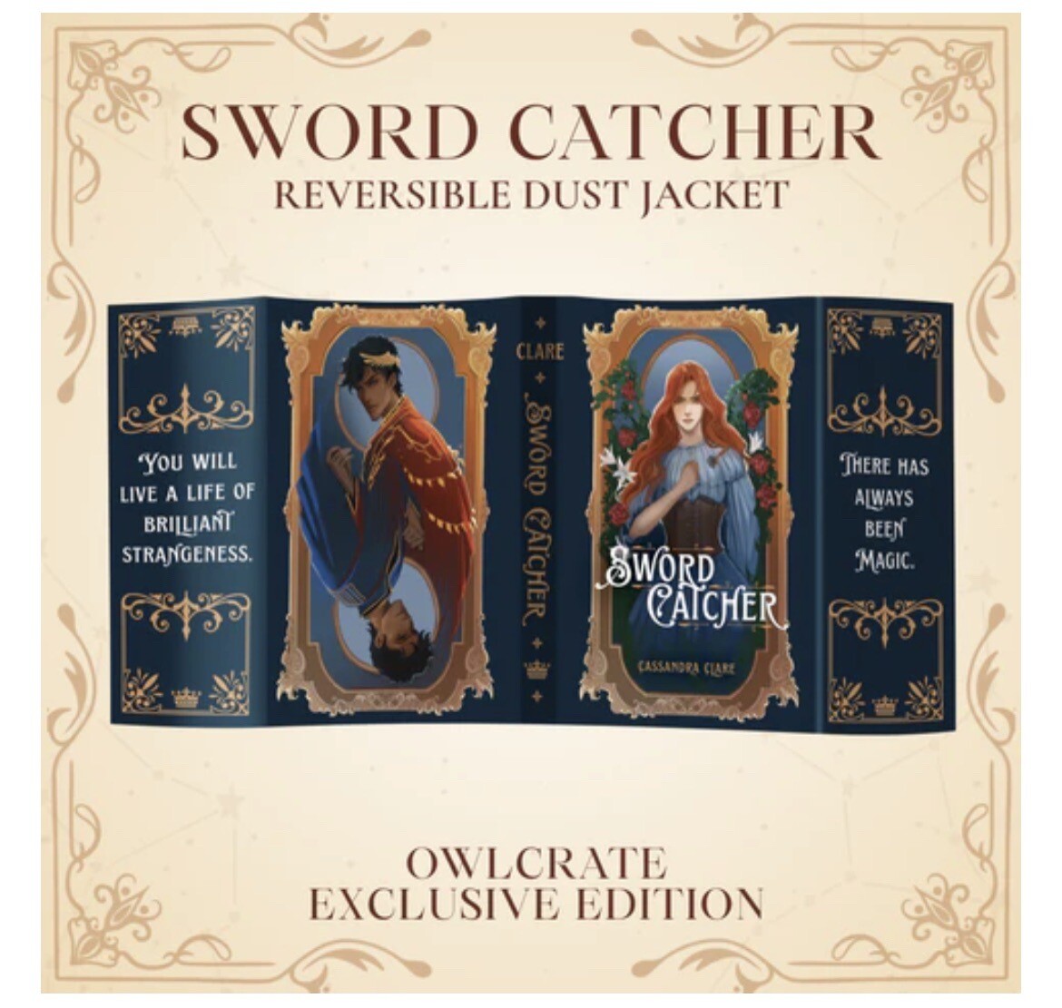 Sword Catcher By Cassandra Clare OwlCrate Exclusive Edition | eBay