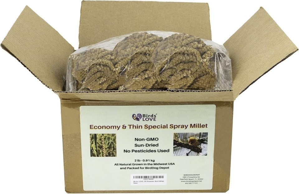 Birds LOVE Economy & Thin Special Spray Millet All Parrots Healthy ...