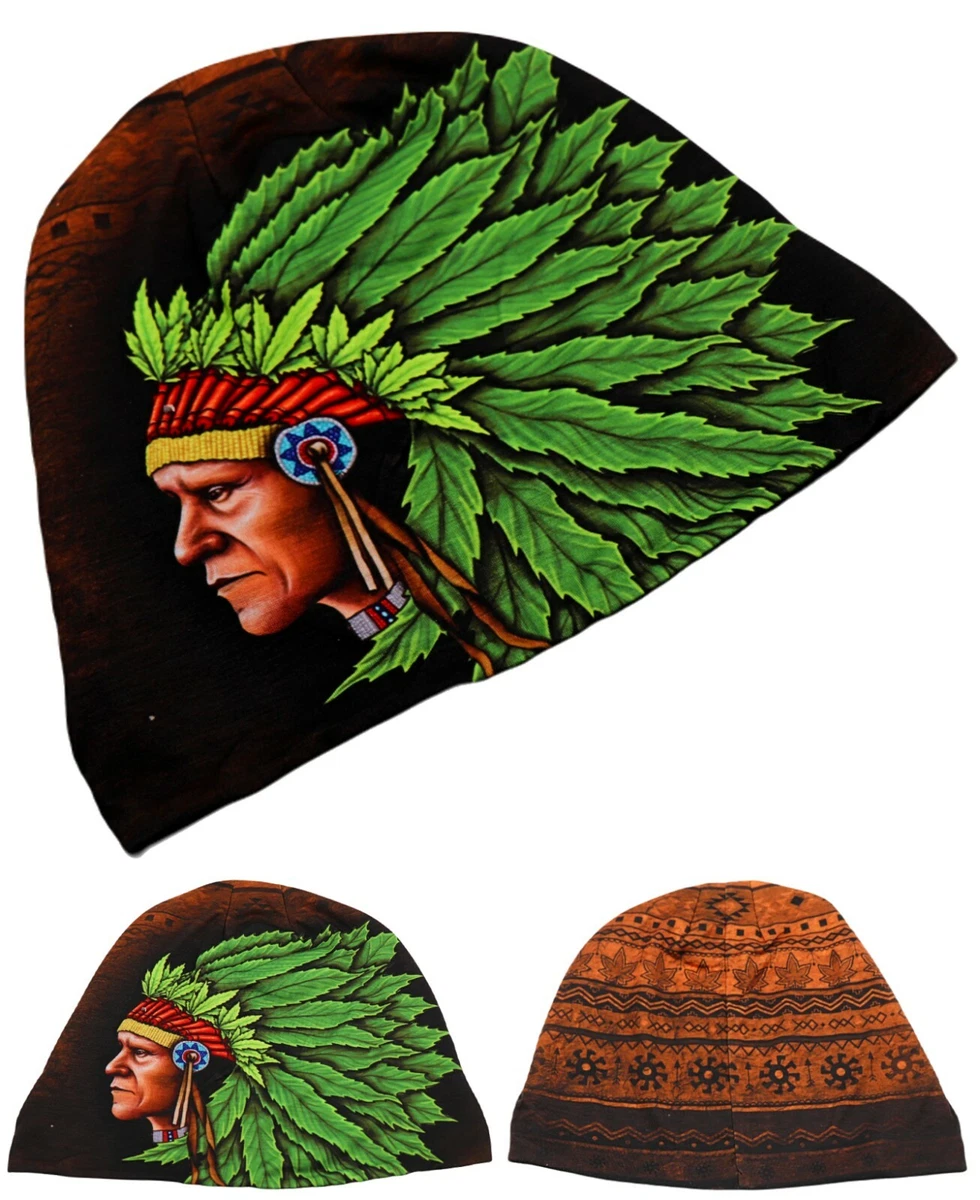Native Pride Drawing