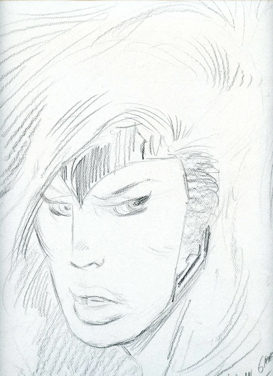 Phoenix Drawings In Pencil