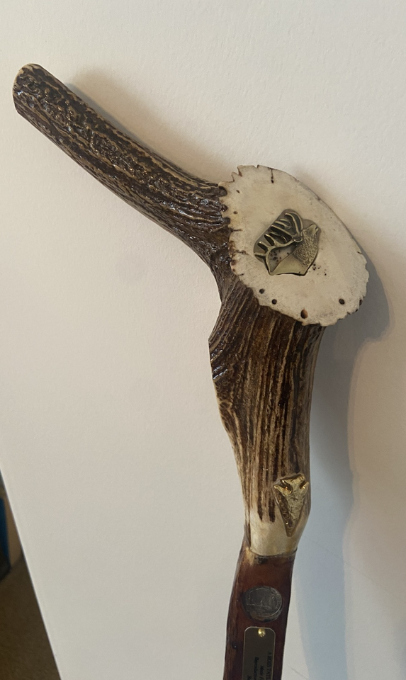 CANE WALKING STICK ELK HORN HANDLE -- CHOICE OF HANDLES | eBay