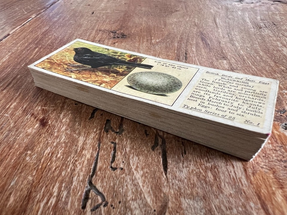 Typhoo Tea Cards Full Set of 25 - British Birds And Their Eggs 1936 | eBay