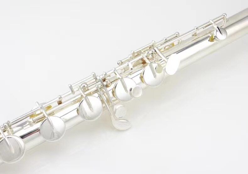 C Key Off Set G Italian Pads With Case Professional Silver Plated Bass ...