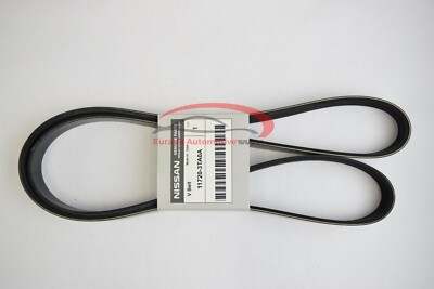Genuine Nissan Altima Rogue 2013-2020 Serpentine Belt 117203TA0A OEM | eBay