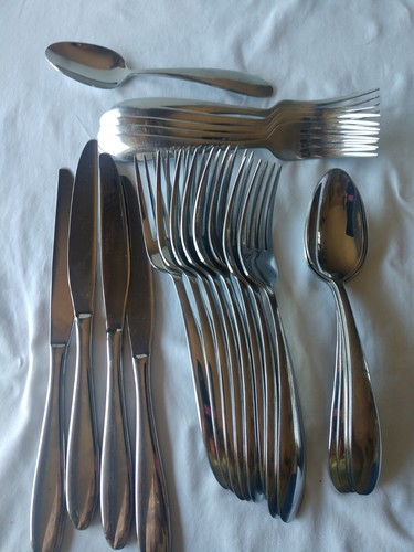 Oneida mooncrest flatware 22 pieces | eBay