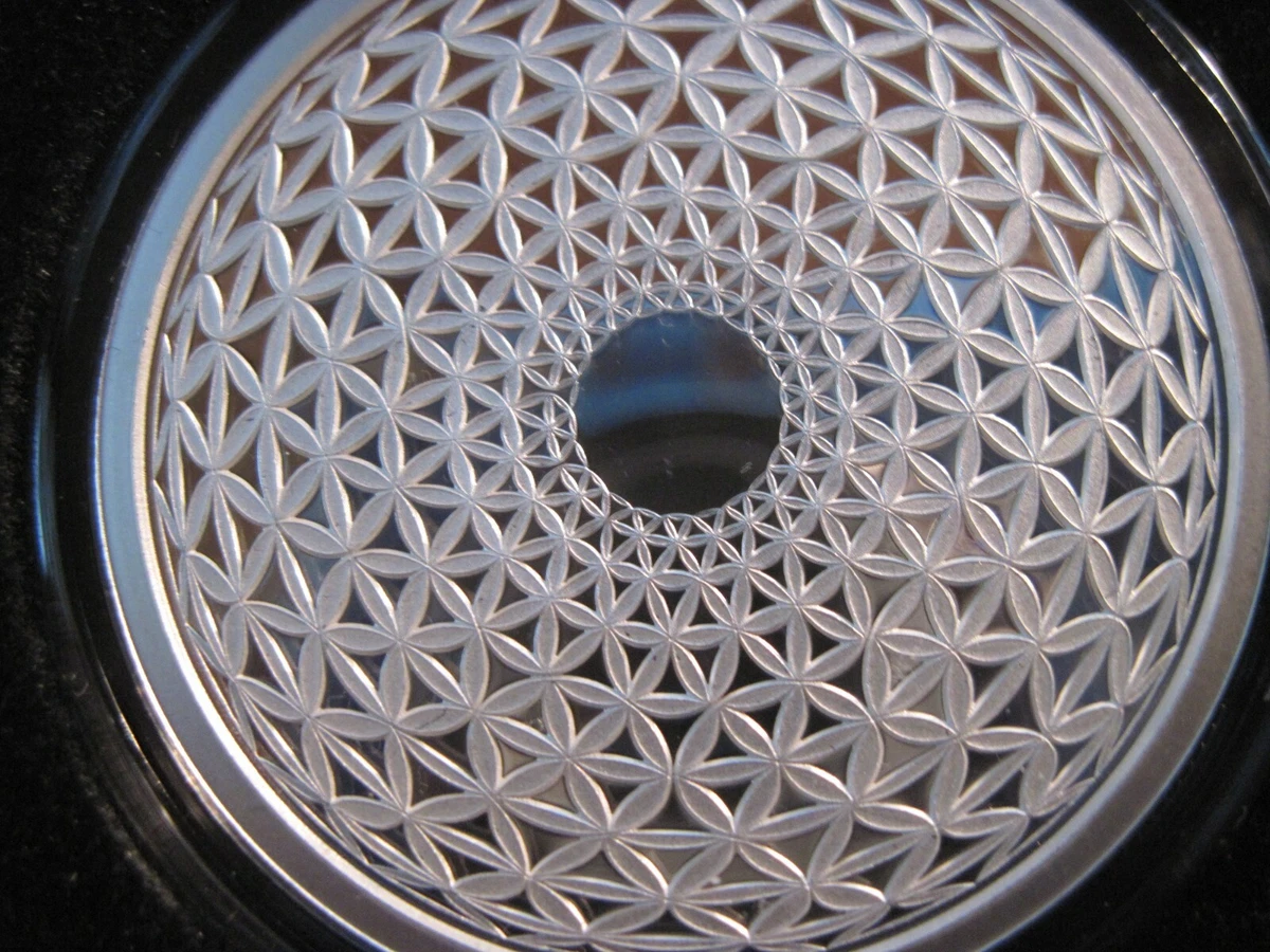 Flower Of Life Torus | Best Flower Site