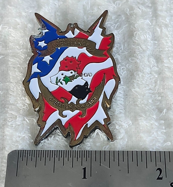 AUTHENTIC 50TH SIGNAL BN EXPD BAGHDAD IRAQ TF TWIN LIONS MILITARY ...