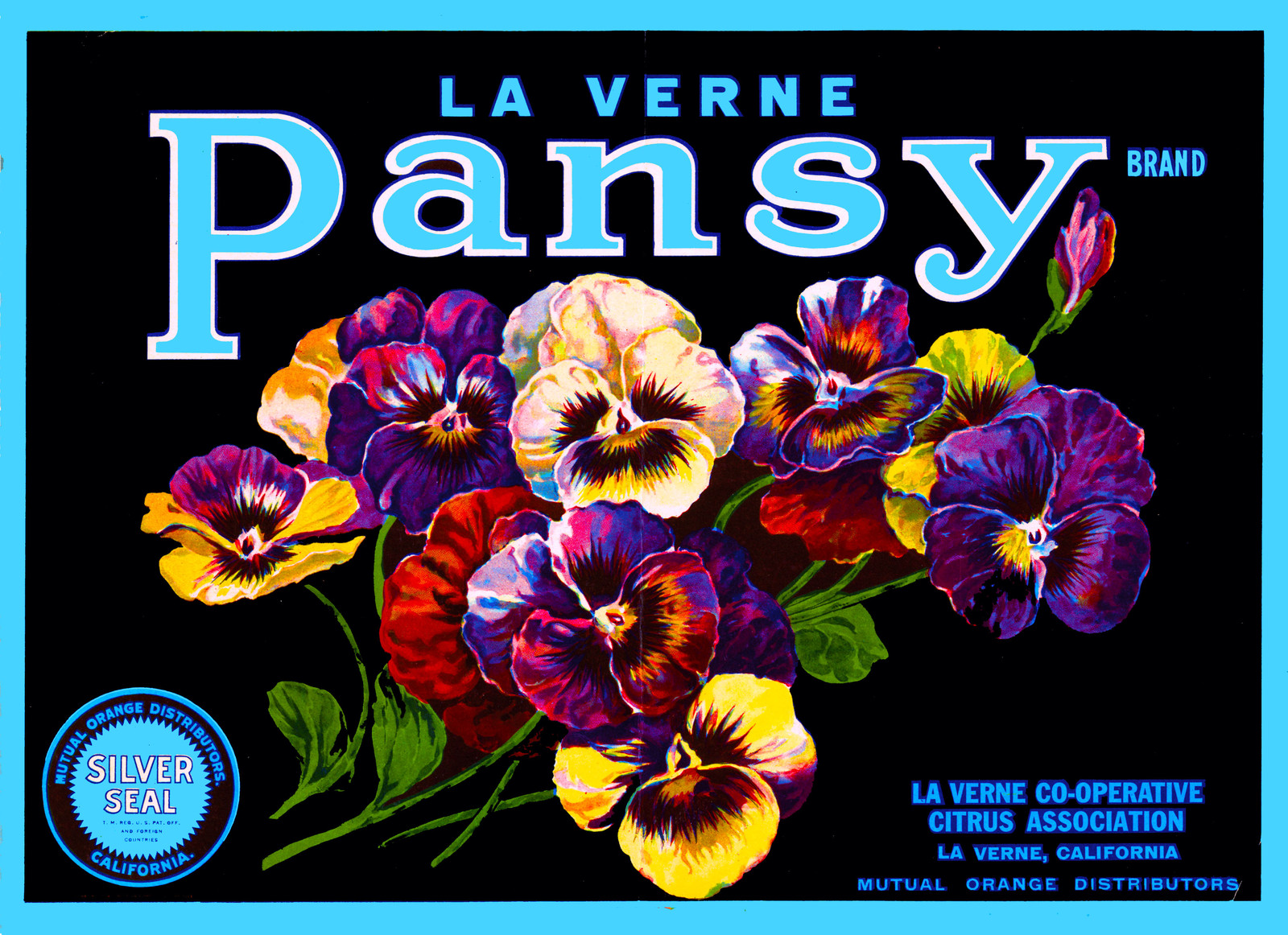 La Verne Lordsburg Los Angeles Pansy Lemon Citrus Fruit Crate Label Art ...