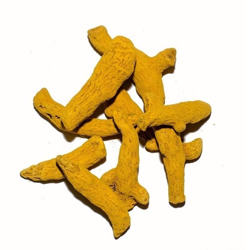 Curcuma racine sèche entière - Curcuma longa - Herbe séchée à la racine ...