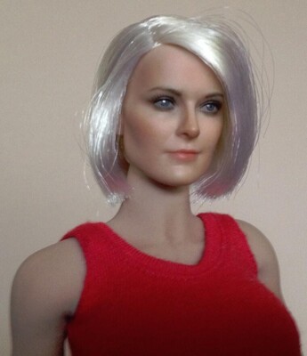 1/6 scale female Head Sculpt pale for 12'' Female Figure Doll worldbox ...