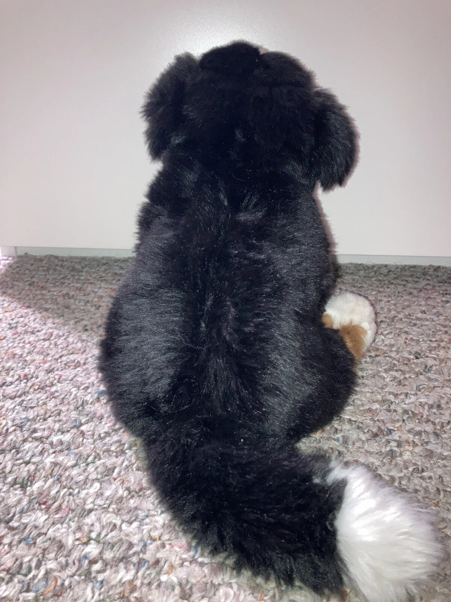 Webkinz Signature Border Collie