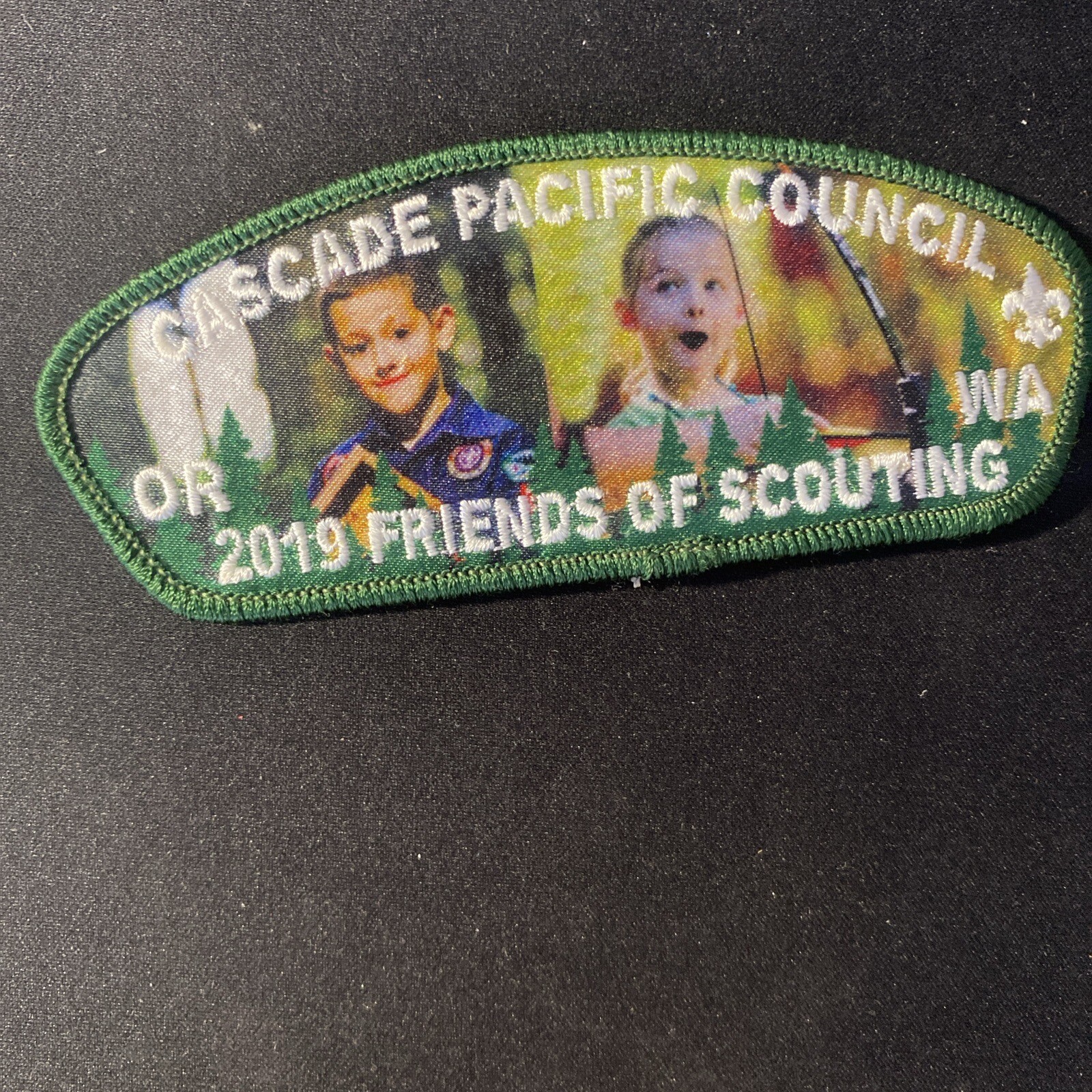 2019 Friends Of Scouting CSP Patch BSA Cascade Pacific Council OR WA ...
