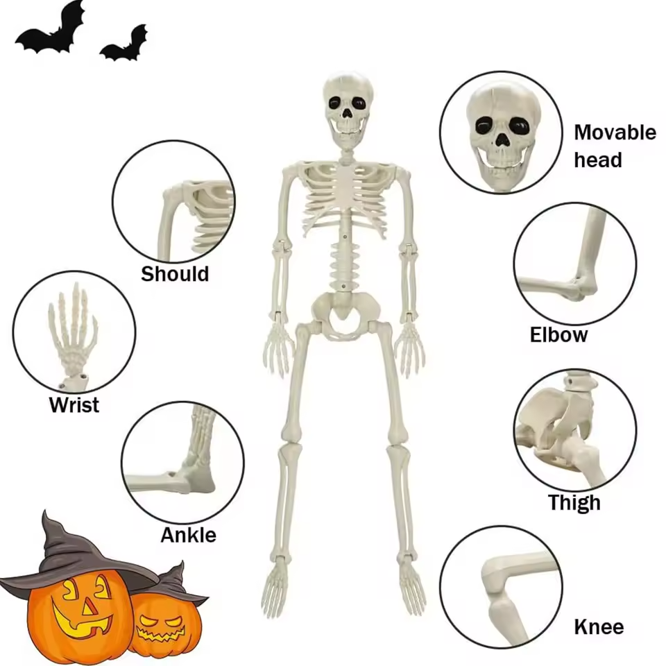 Halloween Skeleton Oversized Poseable Human Full Life Size Party Decor ...