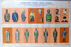 Protective Equipment / Chernobyl / Cold War / vtg 1975 Original Poster ...