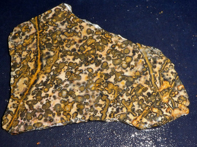 Leopard Skin Jasper slab- 5 1/2" x 4 rough for cabbing-display | eBay