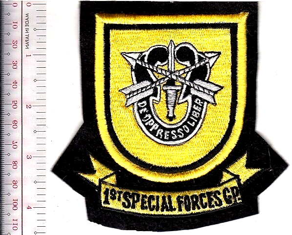Green Beret US Army 1st Special Forces Group Flash Airborne 'De ...