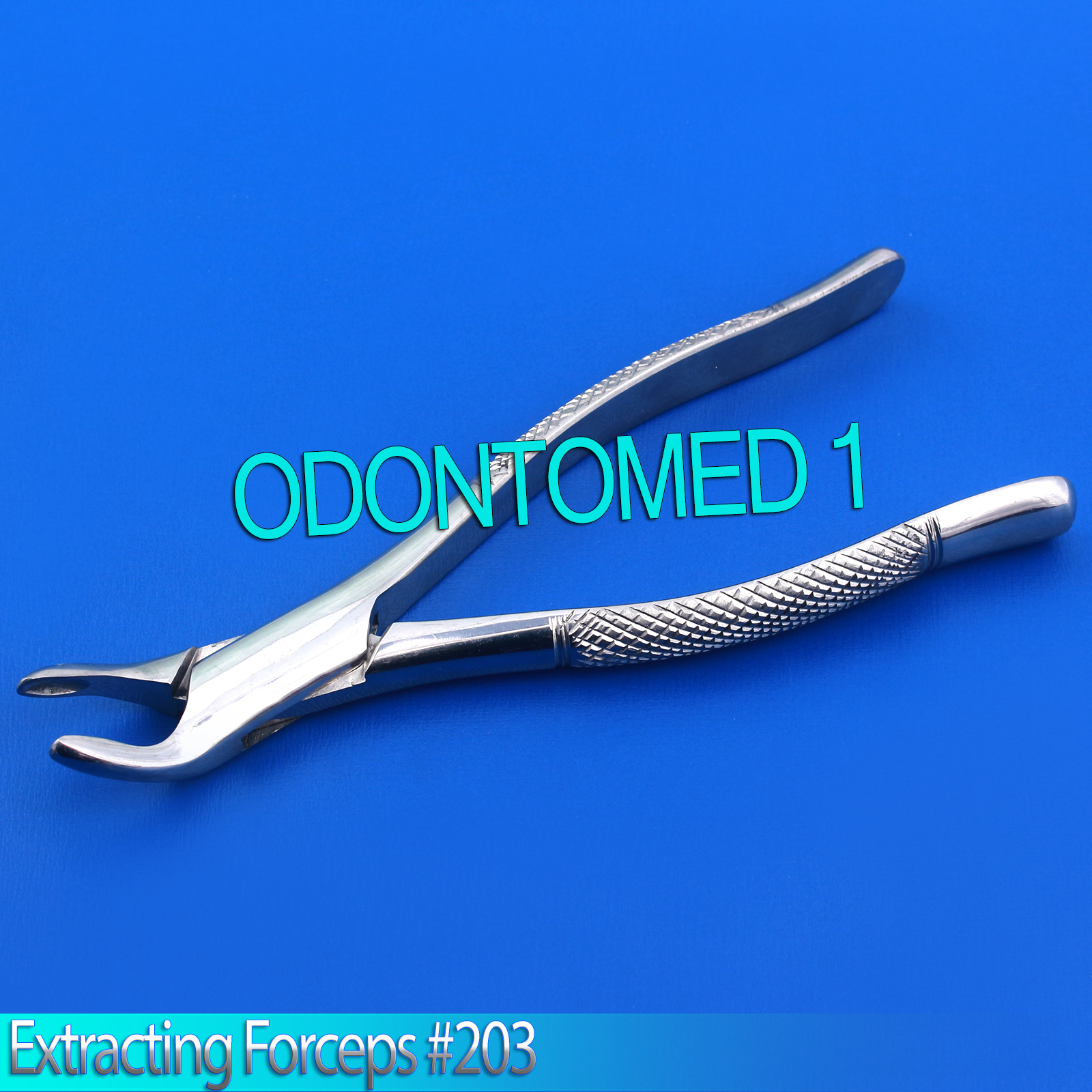 Extracting Forceps# 203 Dental Veterinary Surgical | eBay