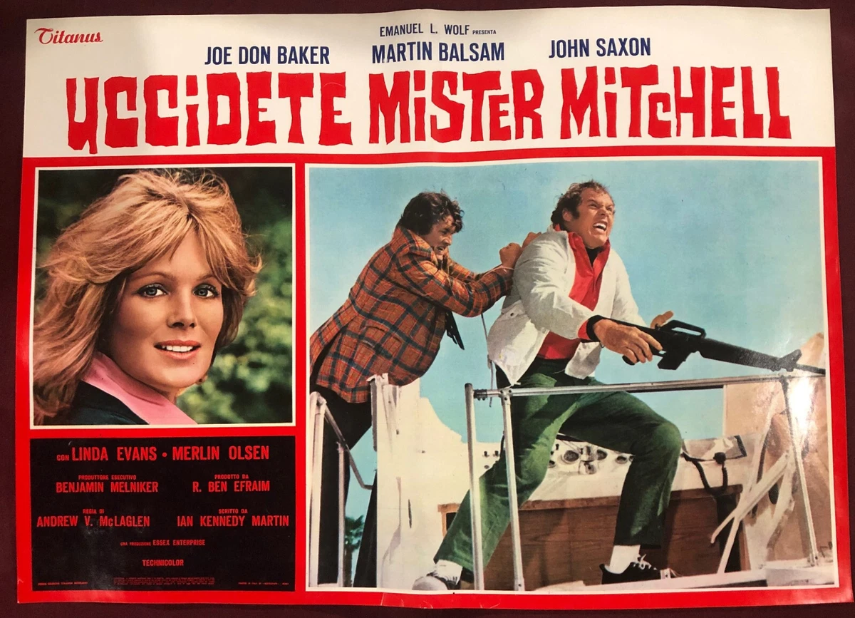 Joe Don Baker Mitchell