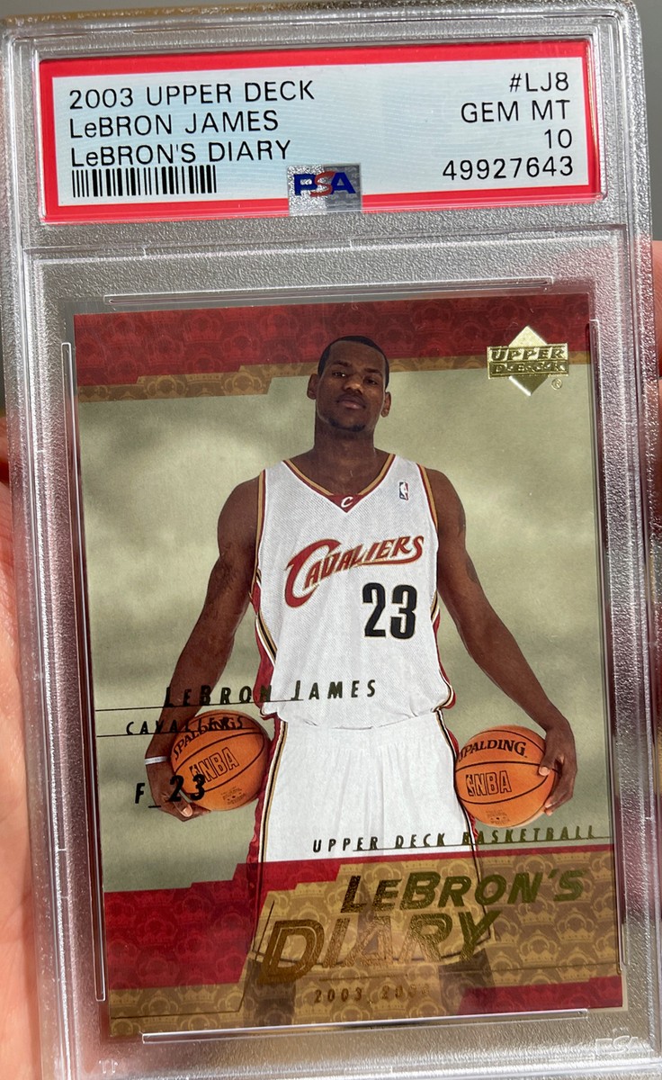 Lebron James 2003 Sko