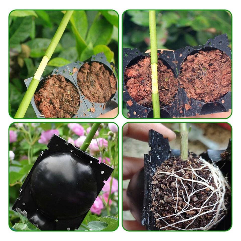 2/4/6/10 PCS Plant Rooting Device Grow Graft Box High Pressure ...