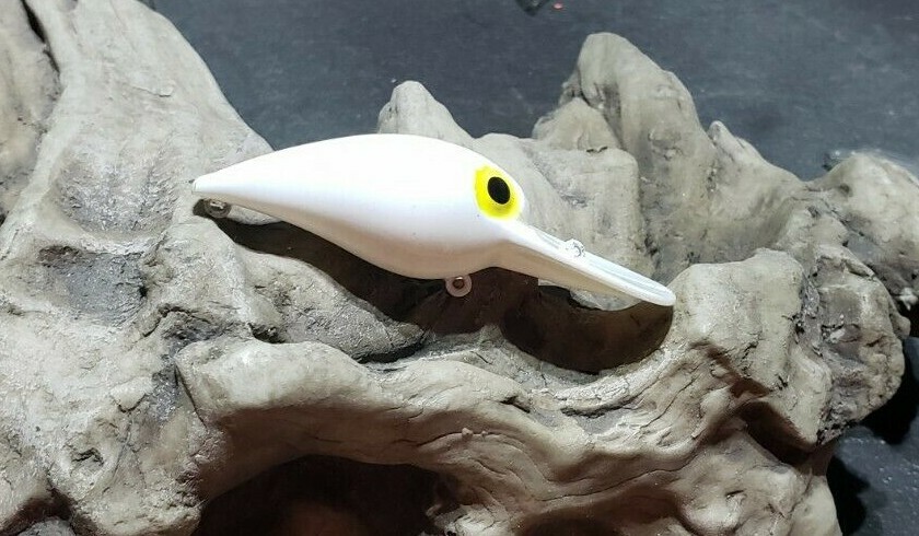 Custom painted Wiggle wart crankbait ( V27 WHITE ) | eBay