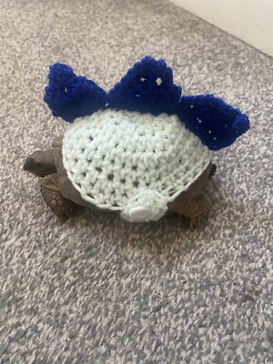 Handmade crochet Dino / Dinosaur tortoise jumper / Cosy Photo Props ...