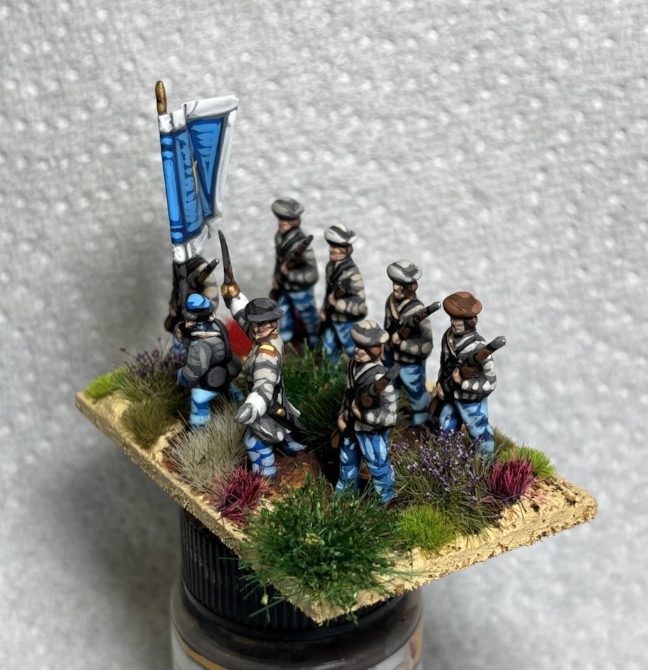 20mm 1/72 well painted ACW American Civil War Confederate Regiment ...