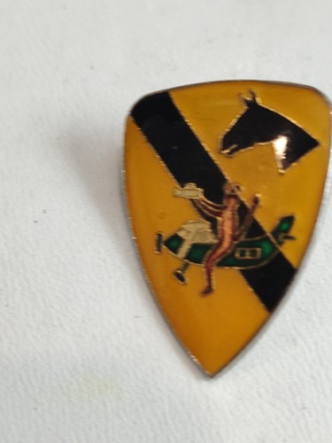 Military 1st Cavalry Pin Heavy Lift Helicopter Battalion Lapel Btg ...