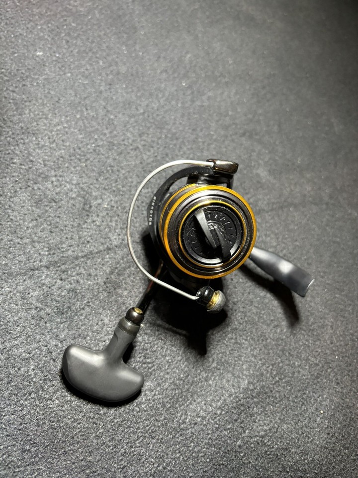 Daiwa BG2500 BG Saltwater Spinning Reel, 2500, 5.6: 1 Gear Ratio, 6+1 ...