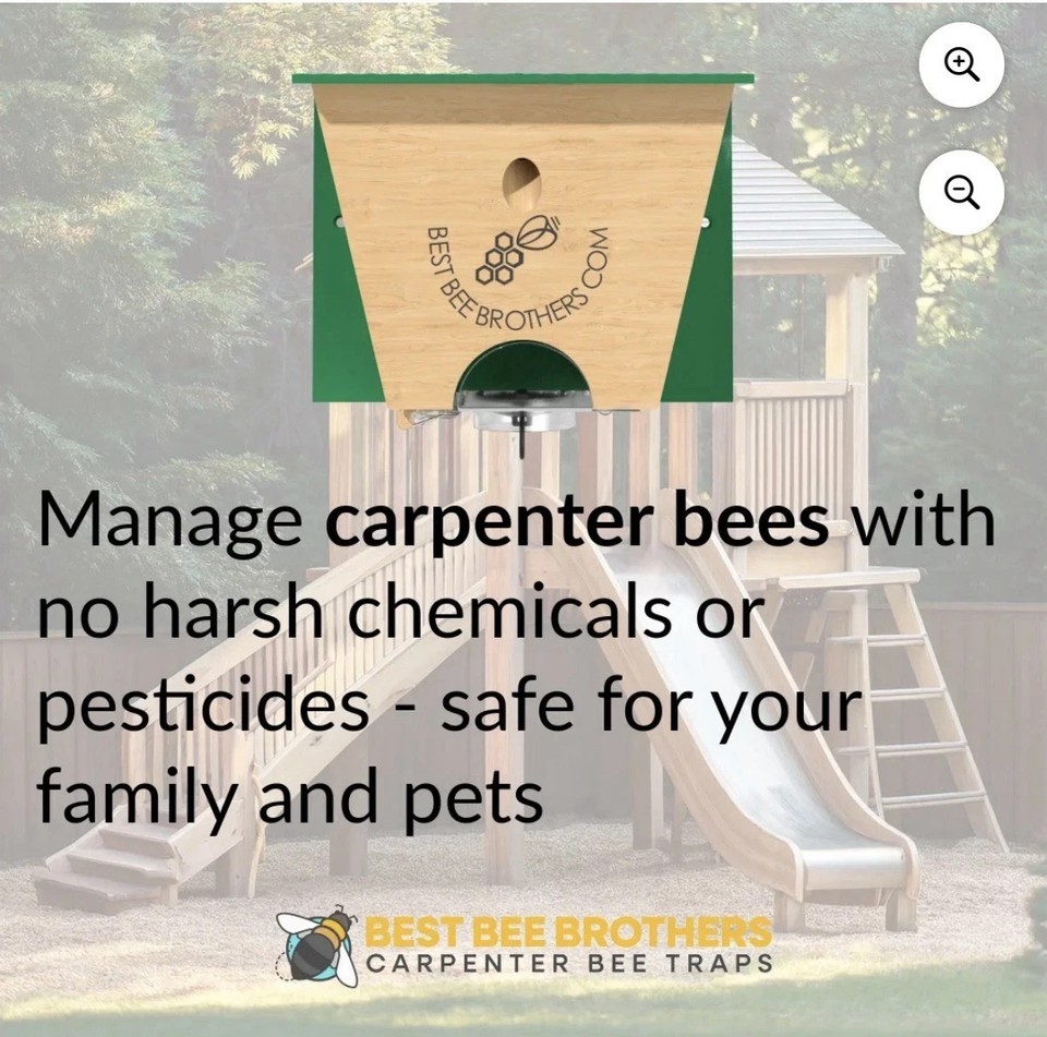 Best Bee Brothers Carpenter Bee Trap: Internal Turbo Funnel, Large ...
