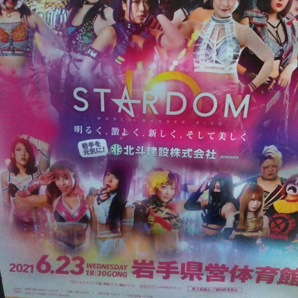 Poster Stardom Women Pro Wrestling | eBay