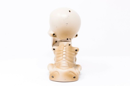 Skeleton Halloween Decor Projector Swiveling Head Fotorama De Mexico 7 ...