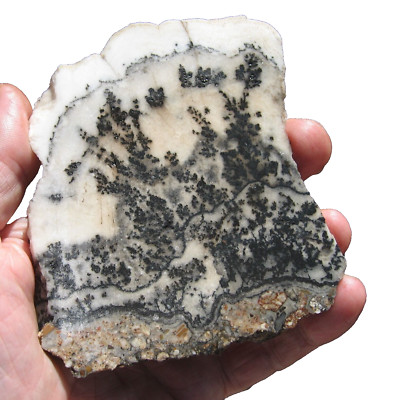 rle SILVER ONYX SLAB MEXICO DENDRITIC RARE! 4" x 3. 5" x 0.29" | eBay