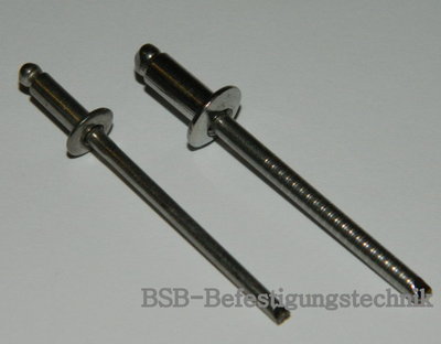 50 Stk. Edelstahl Blindnieten 3x8 Flachkopf Rivet's | eBay.de