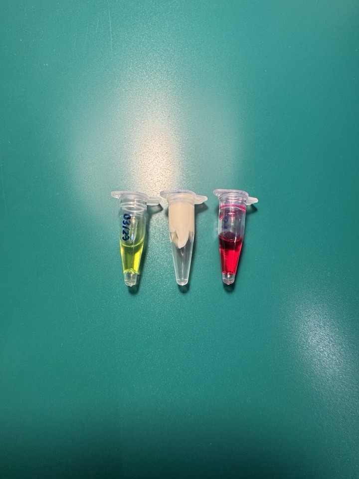 Watchmaker Basic Oil Kit Moebius 9010, HP1300(9104), Molykote DX | eBay UK