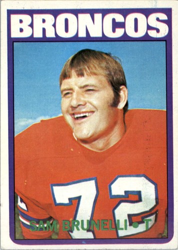 1972 Topps #208 Sam Brunelli - EX | eBay