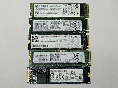 Mixed Brands 256gb M.2 NVMe SSD Lot of 10 | eBay