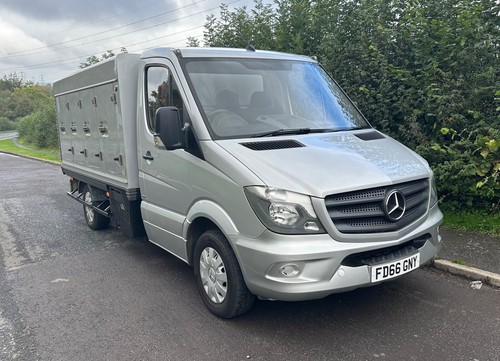 mercedes sprinter freezer van 314 cdi blue efficiency Temperature ...