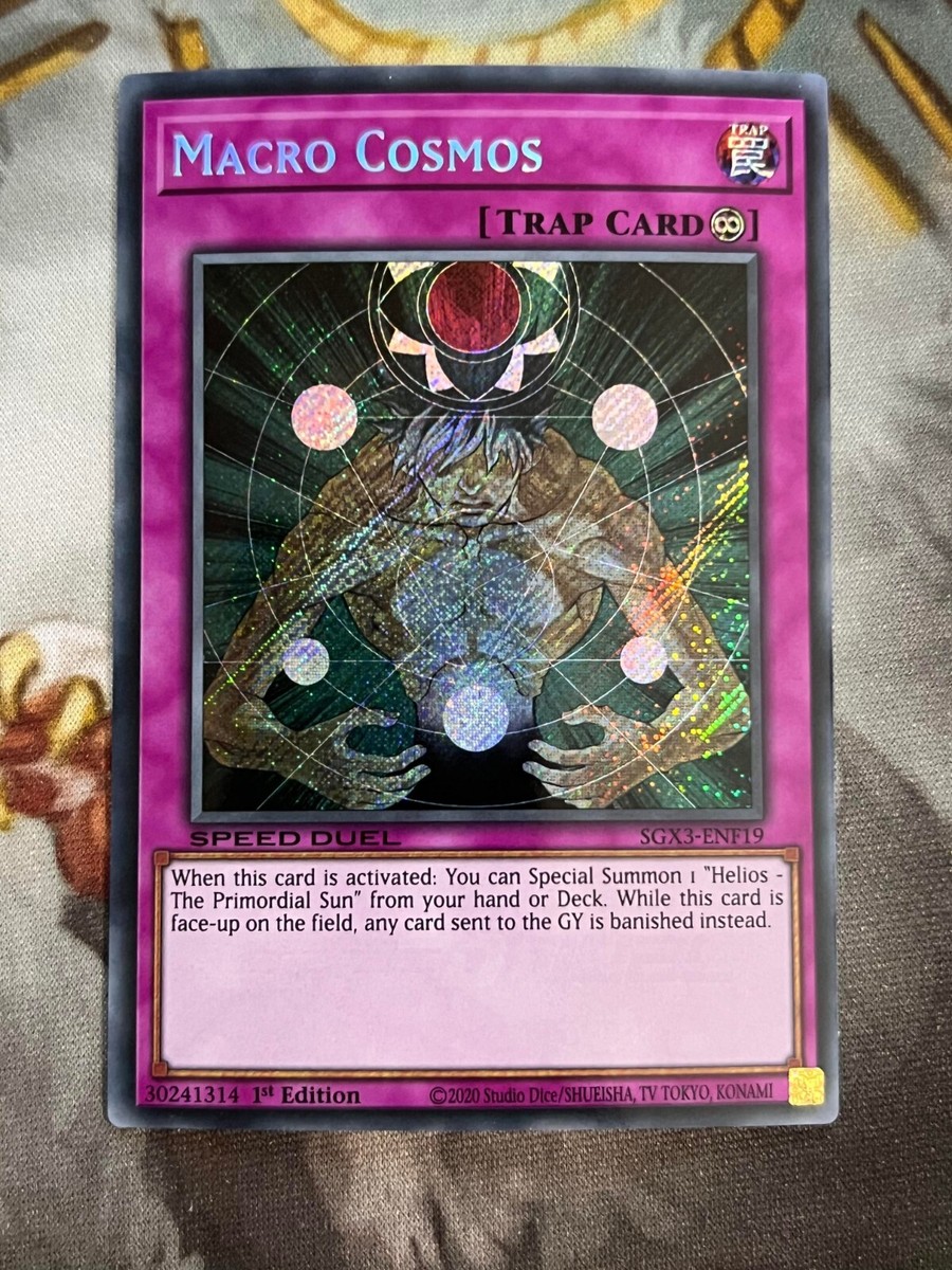 Macro Cosmos Green Purple Yellow | Cosmos | New York