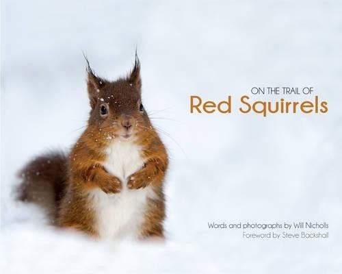 Will Nicholls On the Trail of Red Squirrels (Hardback) (UK IMPORT) | eBay