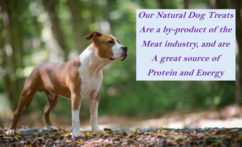 100% Natural Rabbit Ears + Fur a natural De-wormer & Digestive Aid for ...