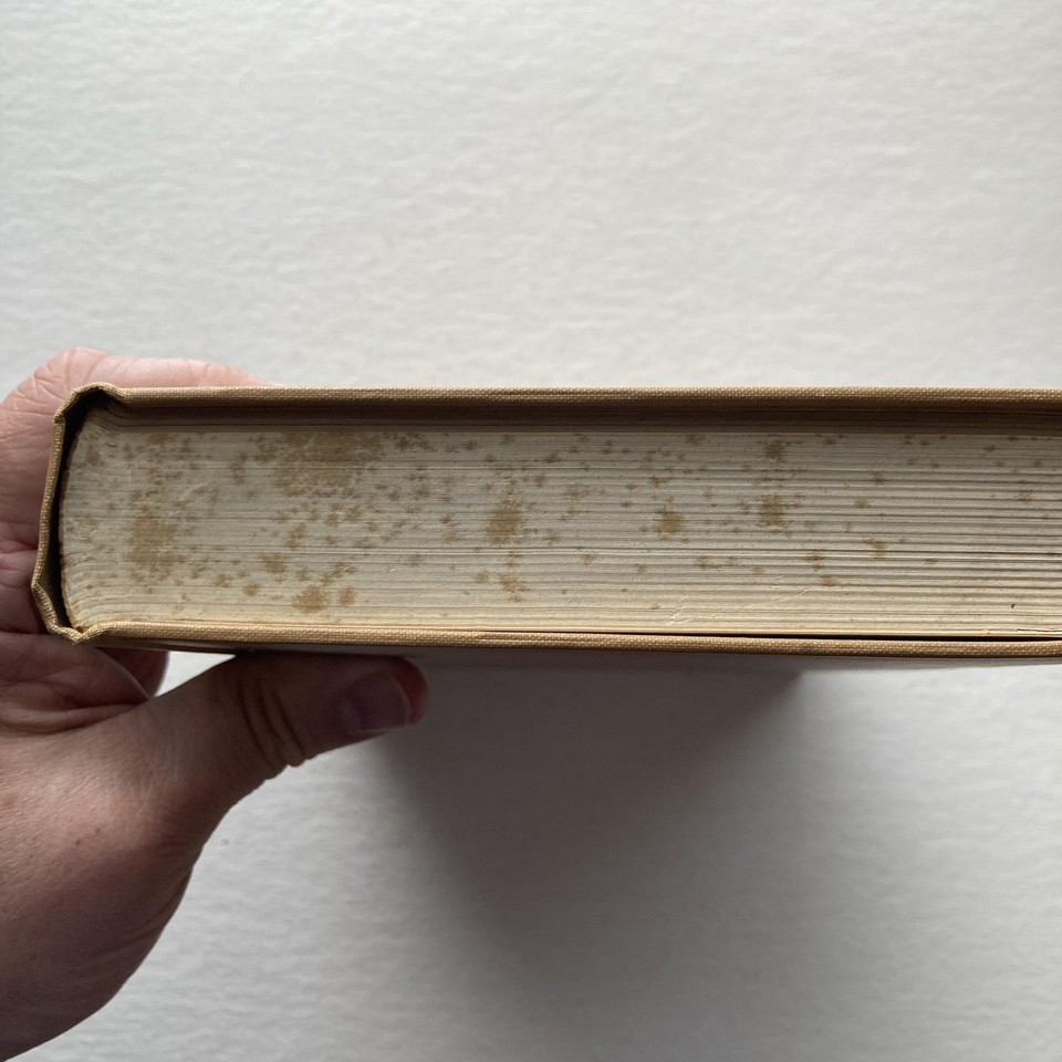 Vintage 1938 Art And Character Albert Edward Bailey Tan Cloth HC ...