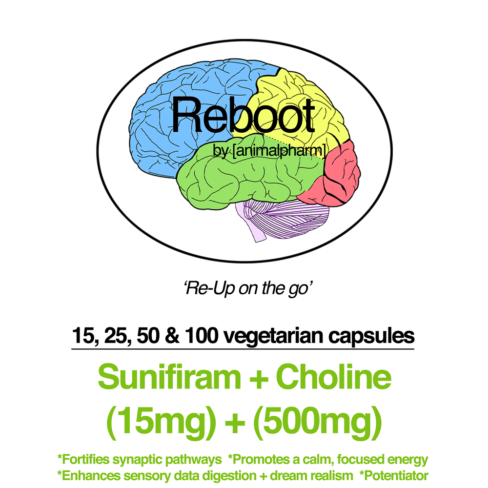 Sunifiram(15mg) + Choline(500mg) Vegetarian Capsules AMPAkine Nootropic ...