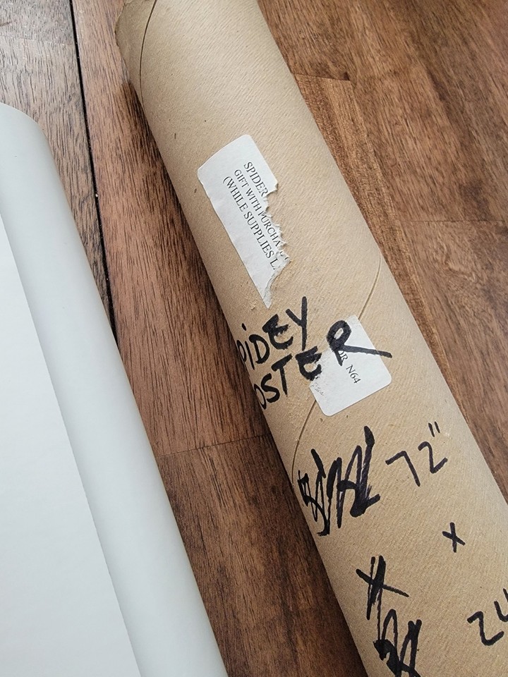 Spiderman Activision 2000 PSX Promo Poster 72"x24" Playstation Nintendo ...